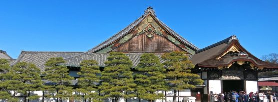 キャプティブ設立・運営の相談ならキャプティブ研究所へ 再保険の仕組みを活用した究極の資産防衛「キャプティブ」の活用方法と可能性を徹底研究し